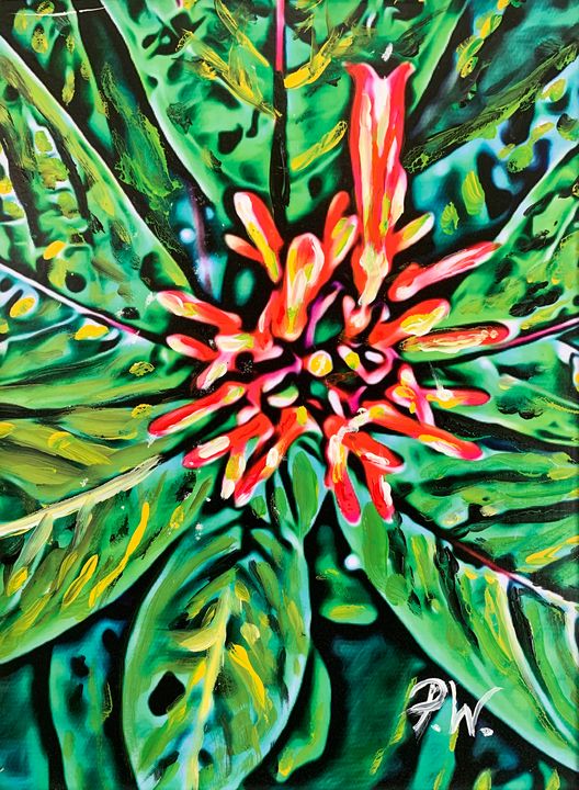 Full Bloom - Peter Wright Art - Paintings & Prints, Flowers, Plants ...