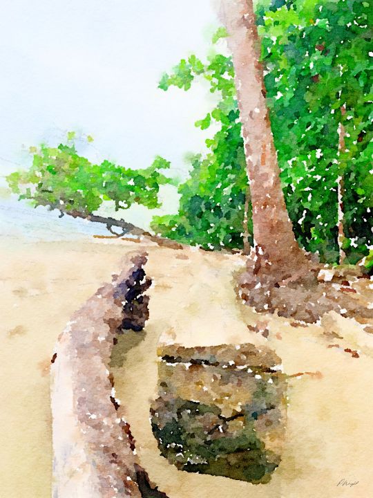 Costa Rica beach-Art code 47 - Peter Wright Art - Paintings & Prints ...