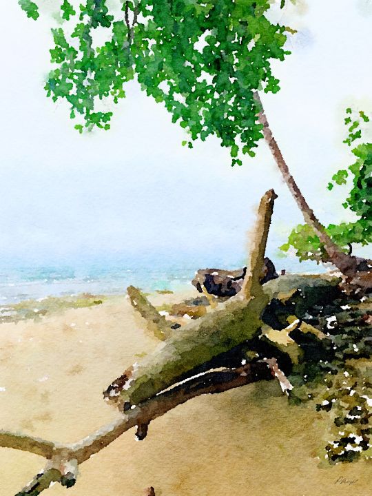 Costa Rica beach-Art code WP49 - Peter Wright Art - Paintings & Prints ...