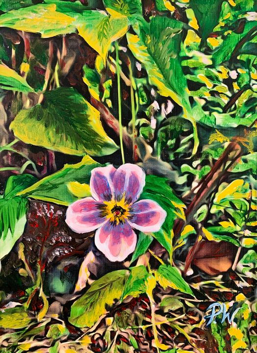 Hidden Beauty - Peter Wright Art - Paintings & Prints, Flowers, Plants ...
