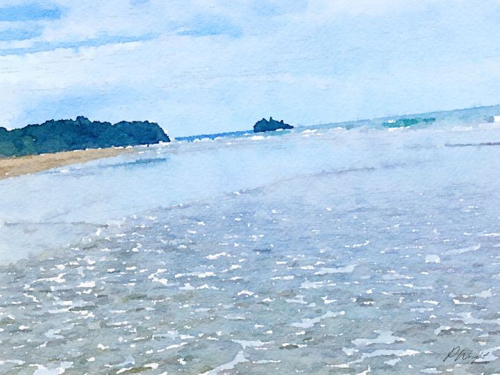 Costa Rica Beach artcode WP54 - Peter Wright Art - Paintings & Prints ...