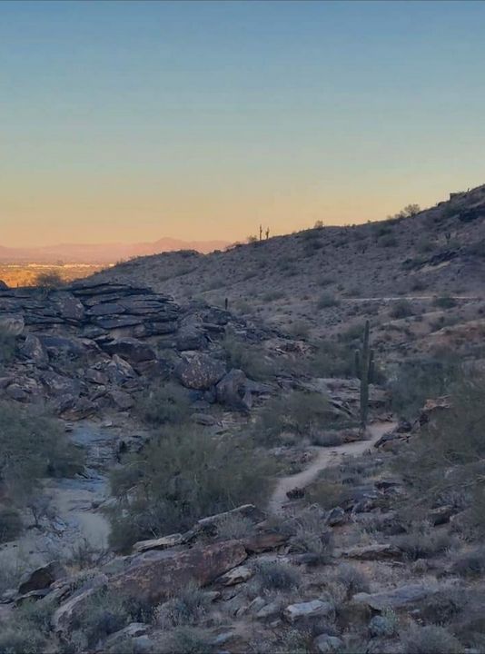 Desert Trail - Olsen - Photography, Landscapes & Nature, Desert - ArtPal