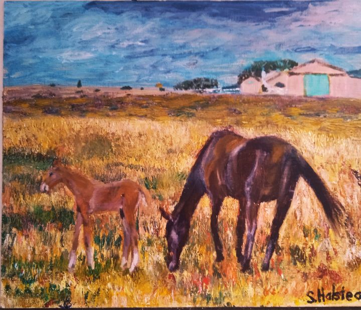 S. Halstead - Paintings & Prints