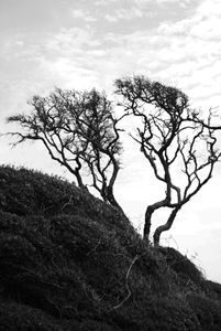 Erin Lovejoy Photography - Photography