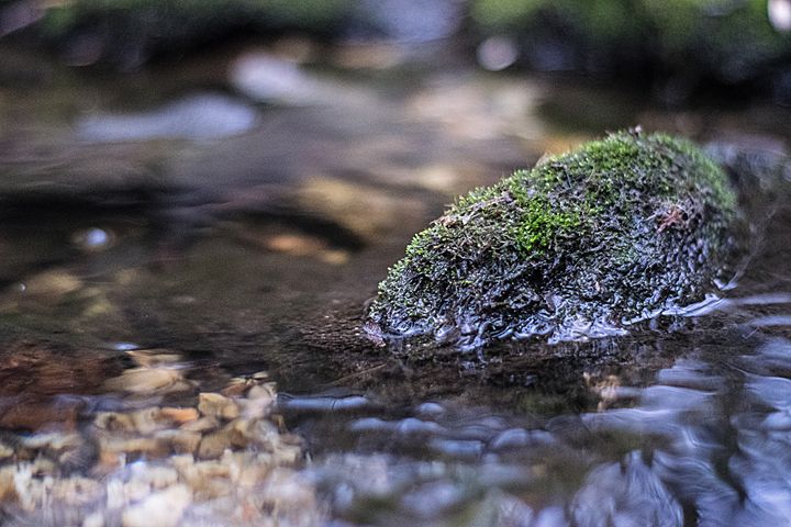 Rock In A Stream - Laurance Grube Photography - Photography, Landscapes ...