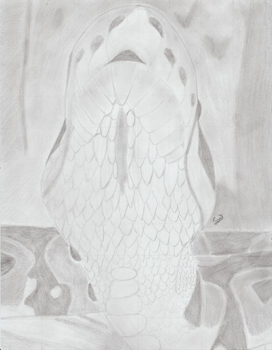 Ball Python - Sea - Drawings & Illustration, Animals, Birds, & Fish ...