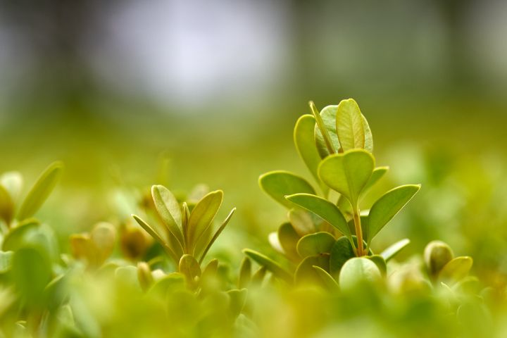 German Escobar - Photography