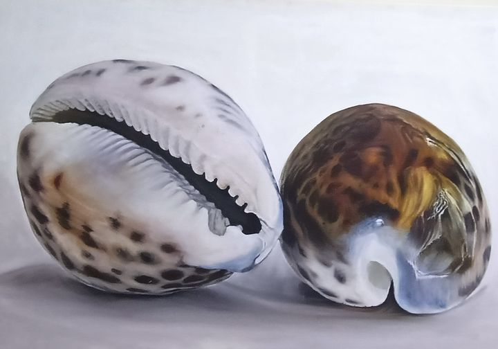 "AJE" Cowries Shells - OK Studio - Paintings & Prints, Still Life ...