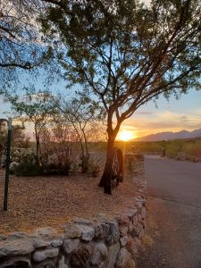 Sunset at the Ranch - Photography