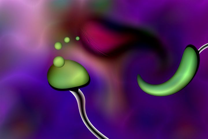 ` Chilli Shroom Dreams ` - Gordon Stead - Digital Art, Abstract, Other ...
