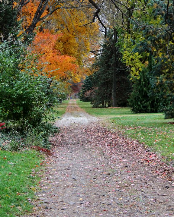 Fall Park Stroll - Adventure Images - Photography, Landscapes & Nature ...
