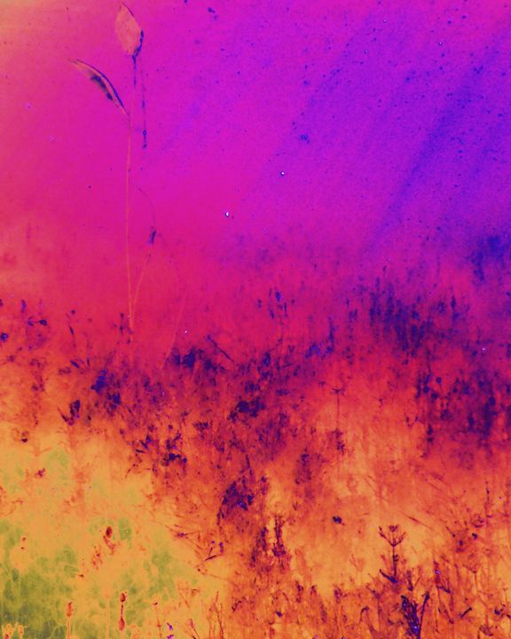 Underwater Abstract - Adventure Images - Photography, Landscapes ...