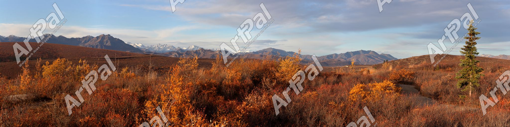 Denali National Park - Adventure Images - Photography, Landscapes ...