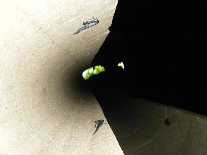 Short Pit - Adventure Images - Photography, Landscapes & Nature, Caves ...