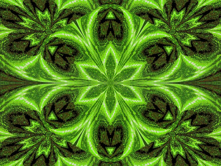 Irish Bloom - Sherrie D. Larch - Paintings & Prints, Flowers, Plants ...