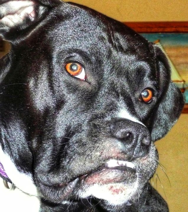 Eyes on you - Serene Scenes ,Joni German - Photography, Animals, Birds ...