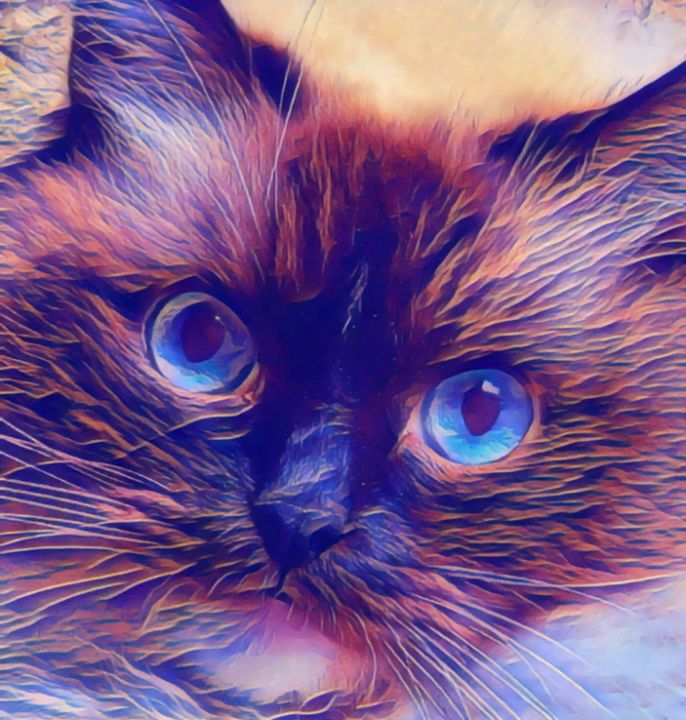 Franklin - Serene Scenes ,Joni German - Photography, Animals, Birds ...