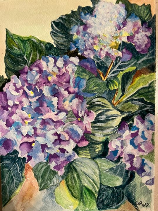 Hortenzia - Hortenzia - Drawings & Illustration, Flowers, Plants ...