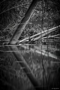 Reflection on the Past - Magnificent Reality - Photography, Landscapes ...