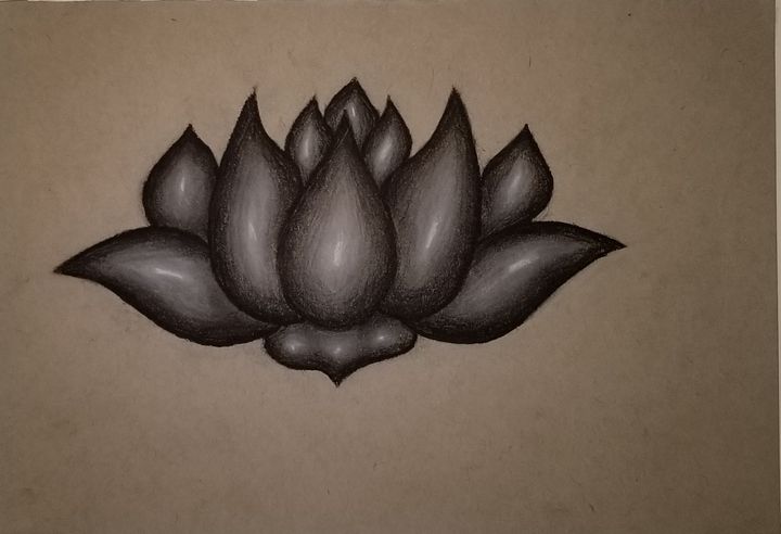 How To Shade A Lotus Flower | Best Flower Site