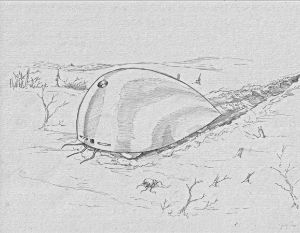 In the Bunyip Moon - Easy Dreams Cult Gallery - Digital Art & AI ...