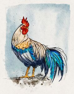 Mr. Bluejeans Rooster Art Print - Alchemy Artisan Works - Paintings ...