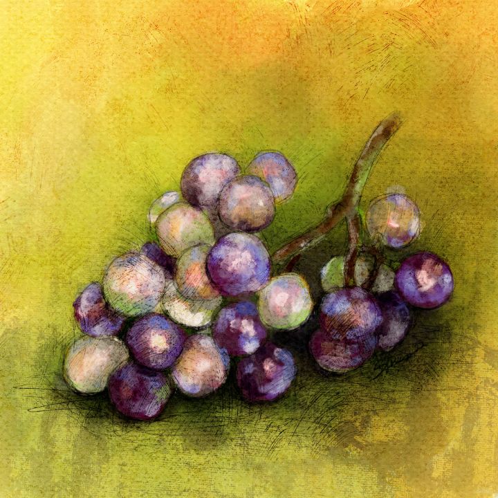 Grapes - Alchemy Artisan Works - Digital Art, Food & Beverage, Fruit ...