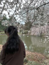 Hazel Chan - Drawings & Illustration, Photography, Digital Art & AI, Paintings & Prints