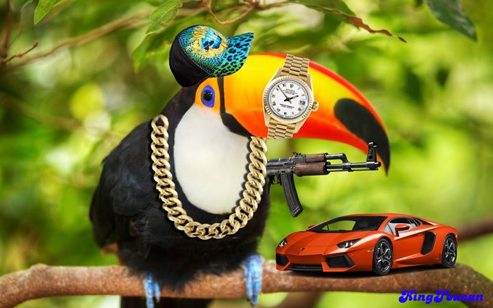 Rich Homie Toucan - King Toucan - Jewelry, Body Jewelry - ArtPal