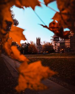 James Tralie - Photography