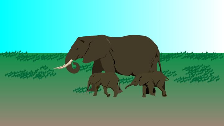 BlankSpace - Digital Art & AI, Drawings & Illustration