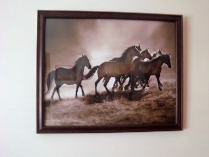 "Wild Horses" - gsb art gallery - Paintings & Prints, Animals, Birds ...