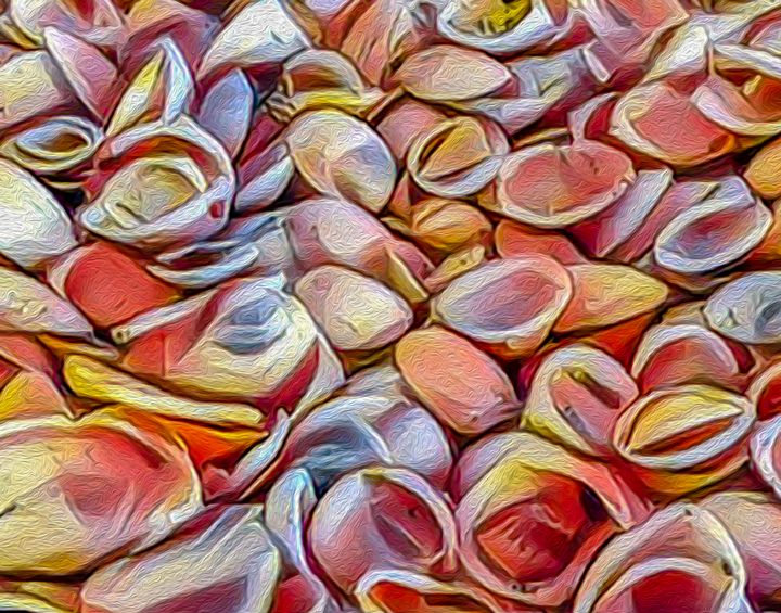 Shells - MJB DigiArt - Digital Art & AI, Abstract, Organic - ArtPal