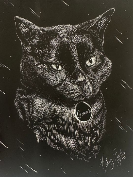 Black Cat Stare - Howlinginkz's Gallery - Paintings & Prints, Animals ...
