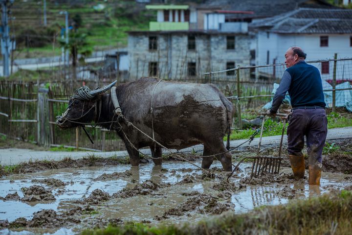 Asian farmer arable land - My Secret Art - Photography, Entertainment ...