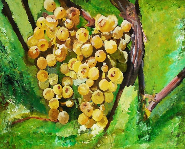Riesling - Cothy'Art - Paintings & Prints, Flowers, Plants, & Trees ...