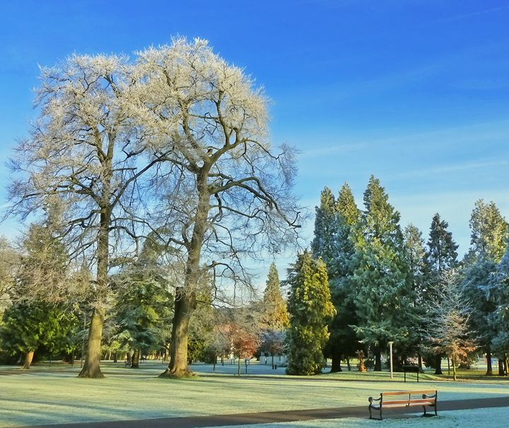 Park Life - A Beautiful World - Photography, Landscapes & Nature, Other ...