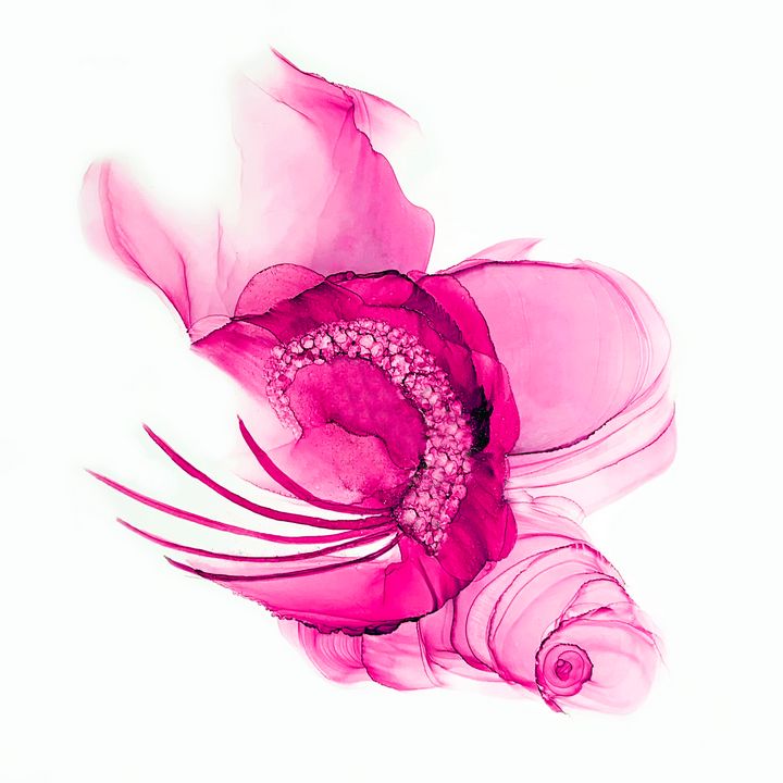 Raspberry Pink Fascinator - Ray Ray Creative Art - Paintings & Prints ...