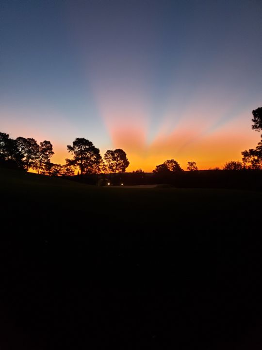 Flared - Cats, kittens, and other creations - Photography, Landscapes ...