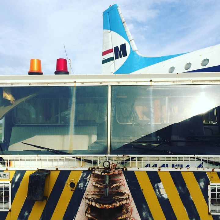 Malev Three - Bald English - Photography, Vehicles & Transportation ...