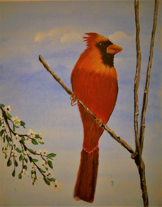 Cardinal on a Branch.. - Allison Prior Art - Paintings & Prints ...