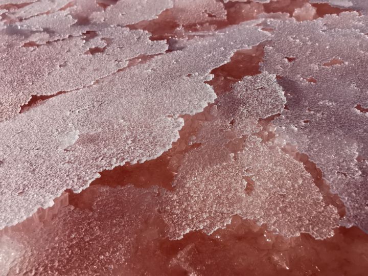 Crystals and Brine - Aonaka - Photography, Abstract, Other Abstract ...