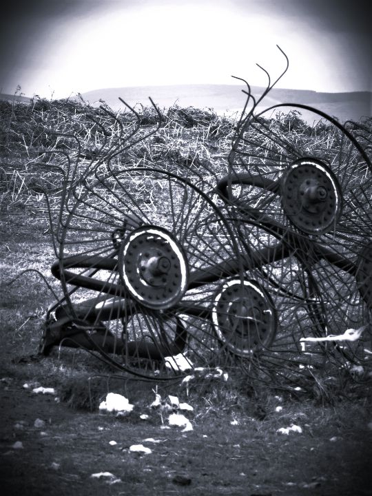 ;worked hard' - Donnette Levine Bufton - Paintings & Prints, Landscapes ...