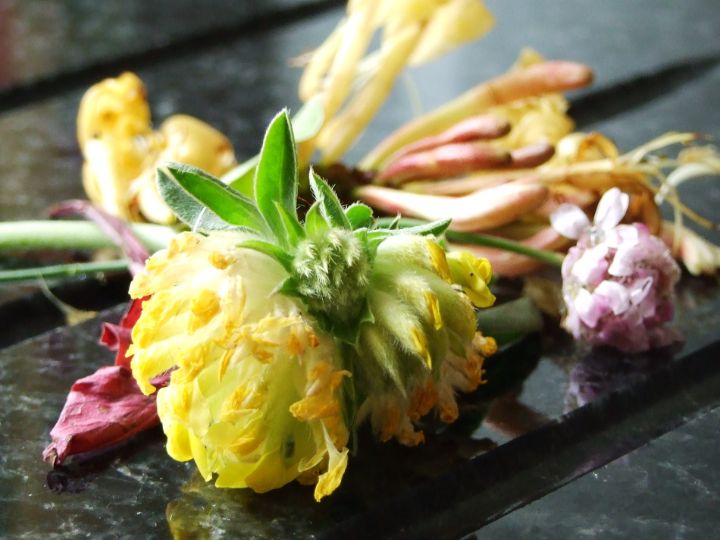 'wild posy' - Donnette Levine Bufton - Paintings & Prints, Landscapes ...