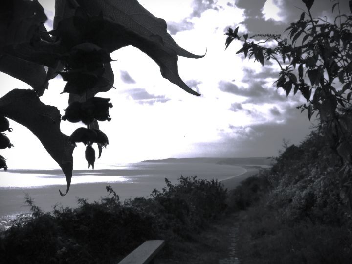 just around the corner - Donnette Levine Bufton - Paintings & Prints ...