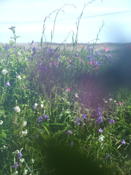 Cornish blue - Donnette Levine Bufton - Paintings & Prints, Landscapes ...