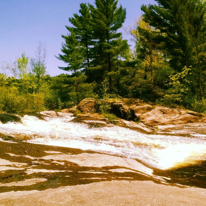 Wolf River WI - SUZANN JONSON art - Photography, Landscapes & Nature ...