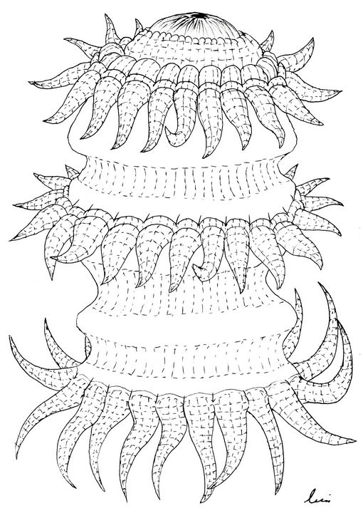 Alien polyp - Luis's art gallery - Drawings & Illustration, Fantasy ...