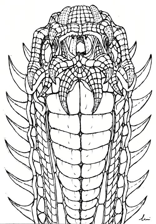 Beast worm - Luis's art gallery - Drawings & Illustration, Fantasy ...