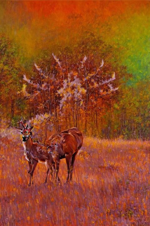 Aurora Bull - Digital Images by Christopher Pettis - Digital Art ...